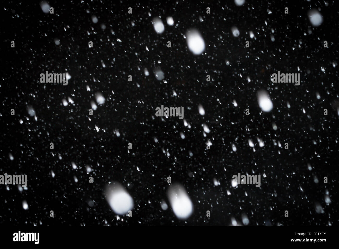Flakes of natural snow falling at night set against a black background ...