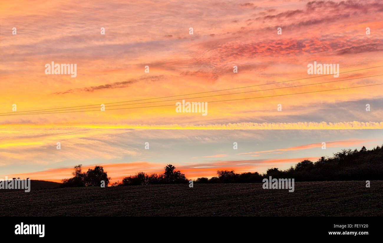 HDR landscape with colored sunset with field and forest Stock Photo - Alamy