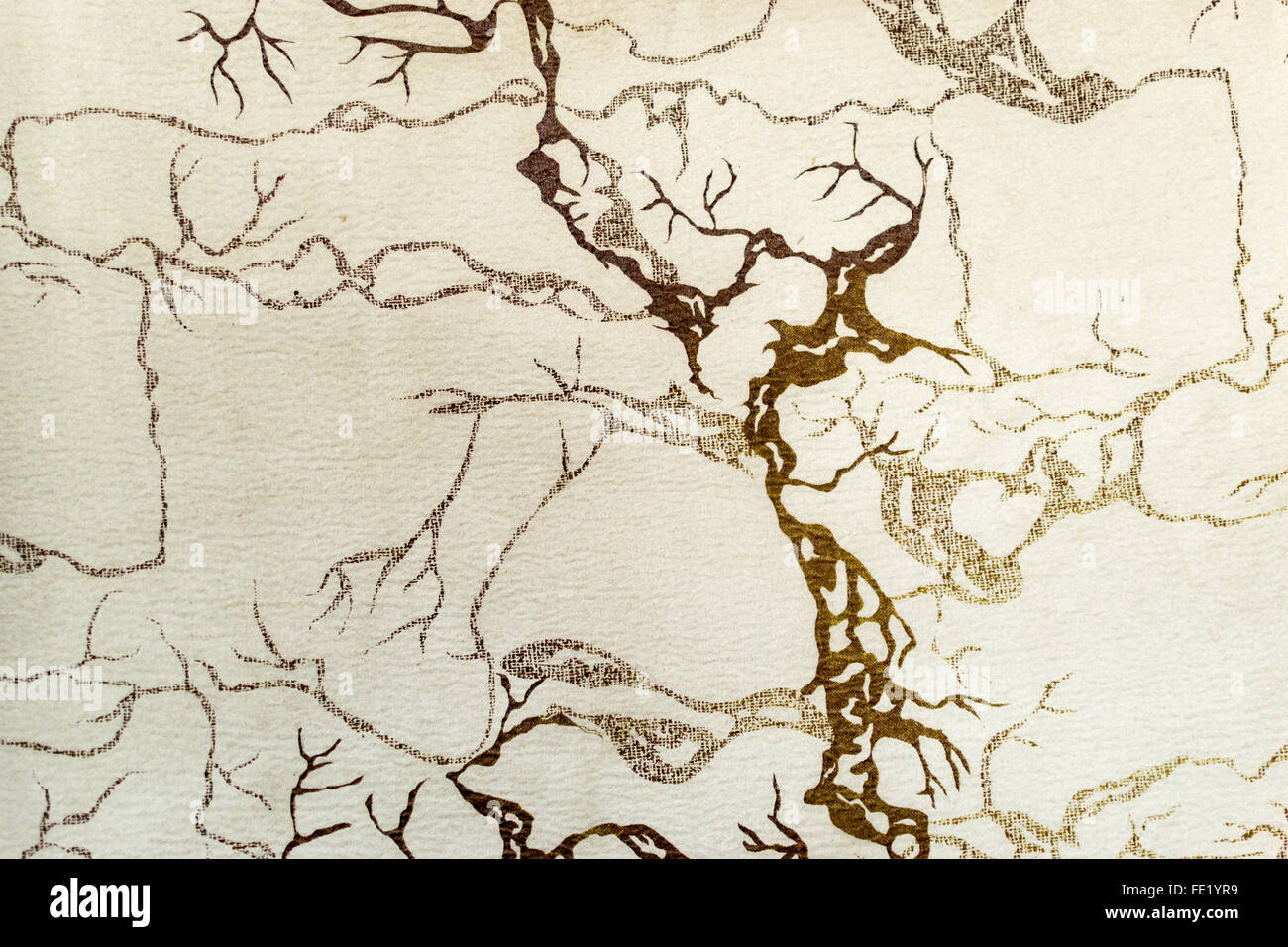 Mottled skin hi-res stock photography and images - Alamy