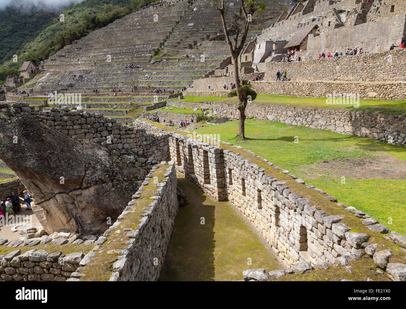 Terraces at Machu Picchu Stock Photo - Alamy