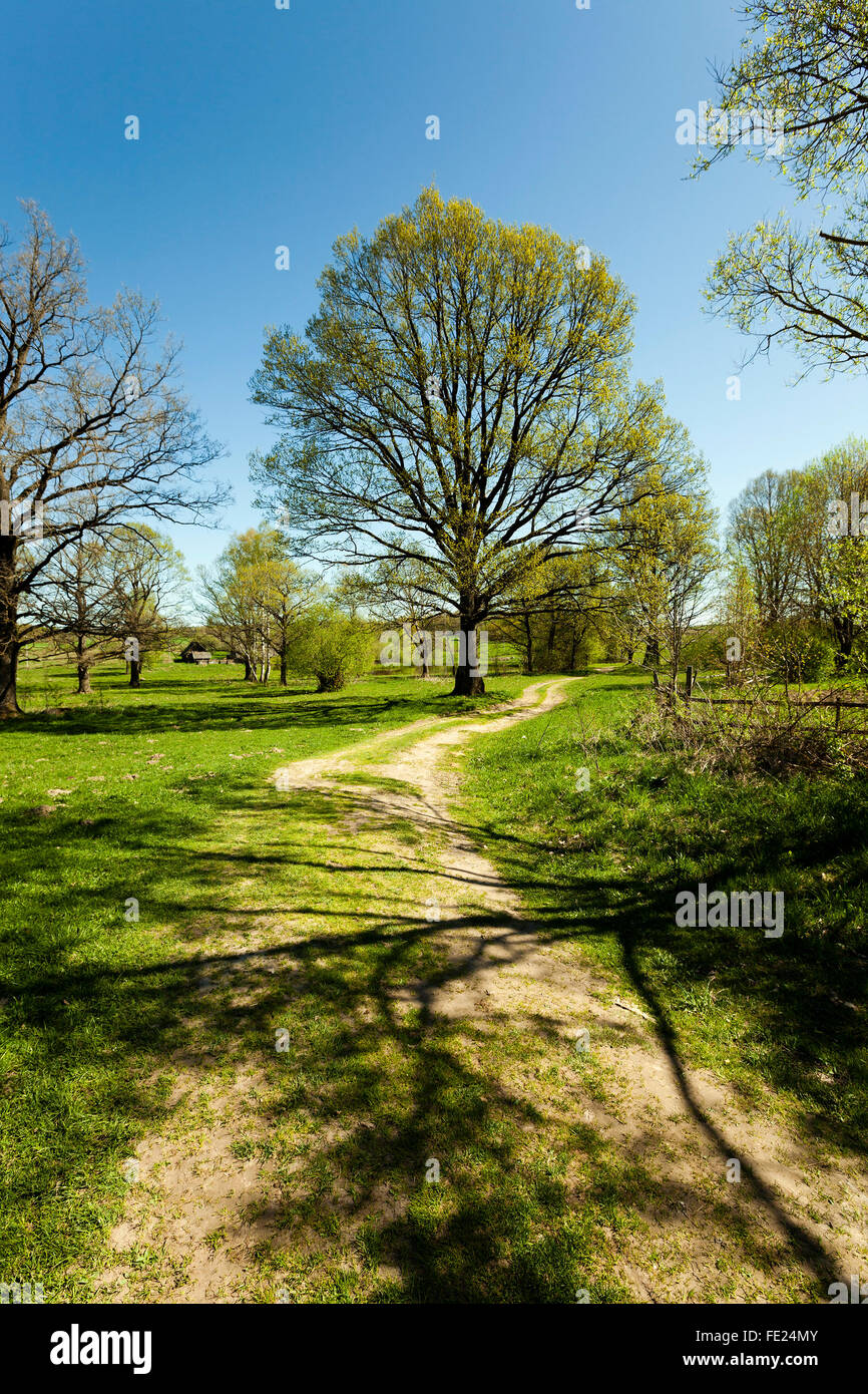 Dirt road , spring Stock Photo - Alamy