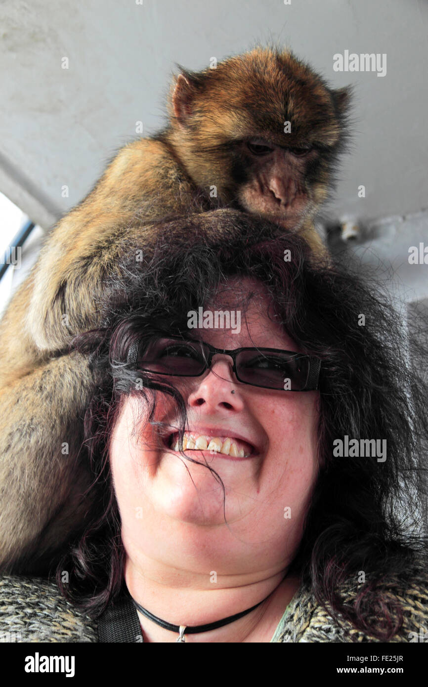 Smiling woman with a Barbary Ape sat on her shoulders, Gibraltar Stock ...