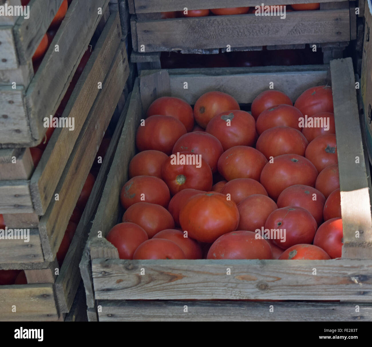 Tomatoes in wooden boxes. The harvest from the fields Stock Photo - Alamy