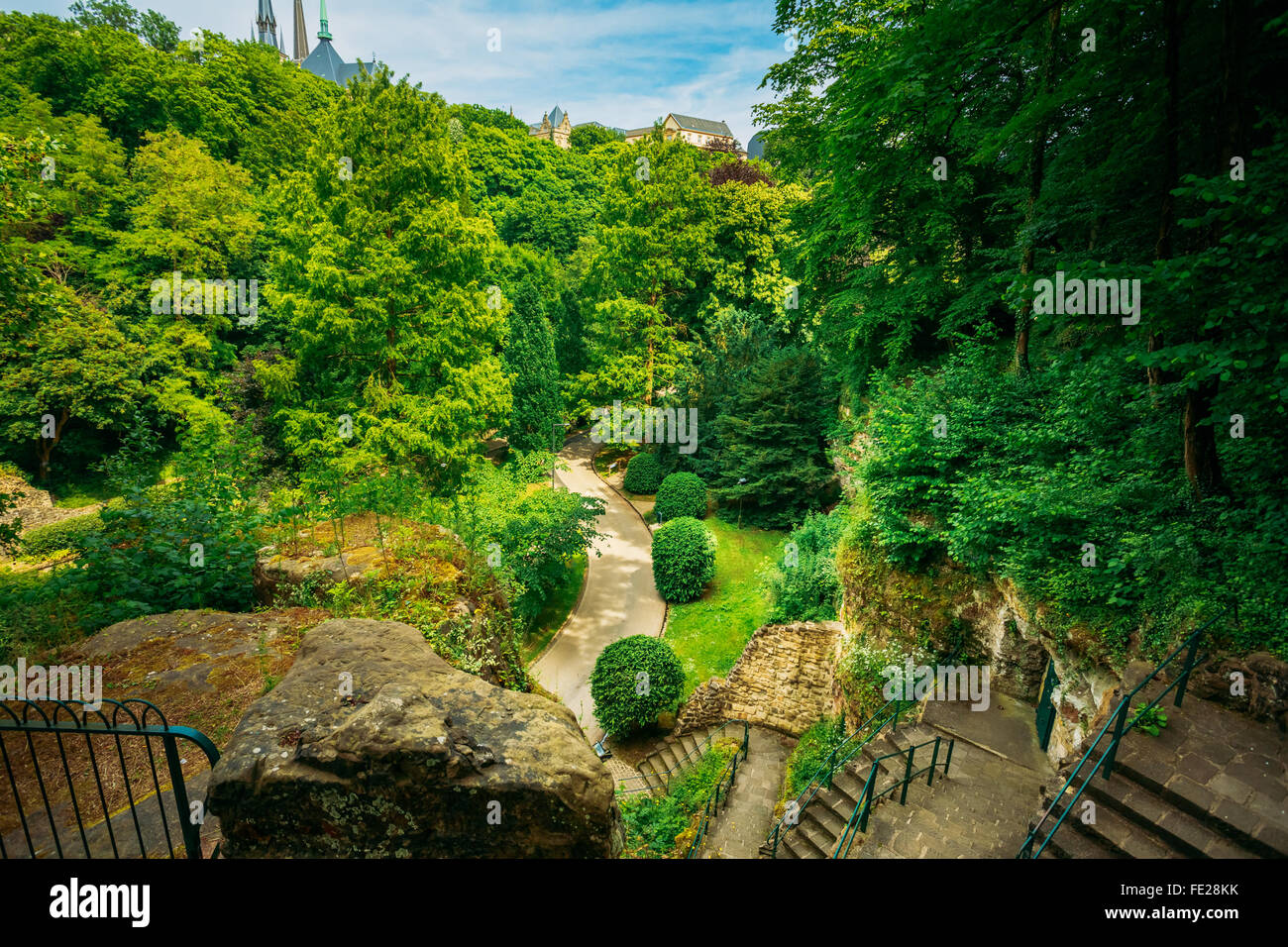 Rocky path, with green trees and bushes in a large park in the summer ...