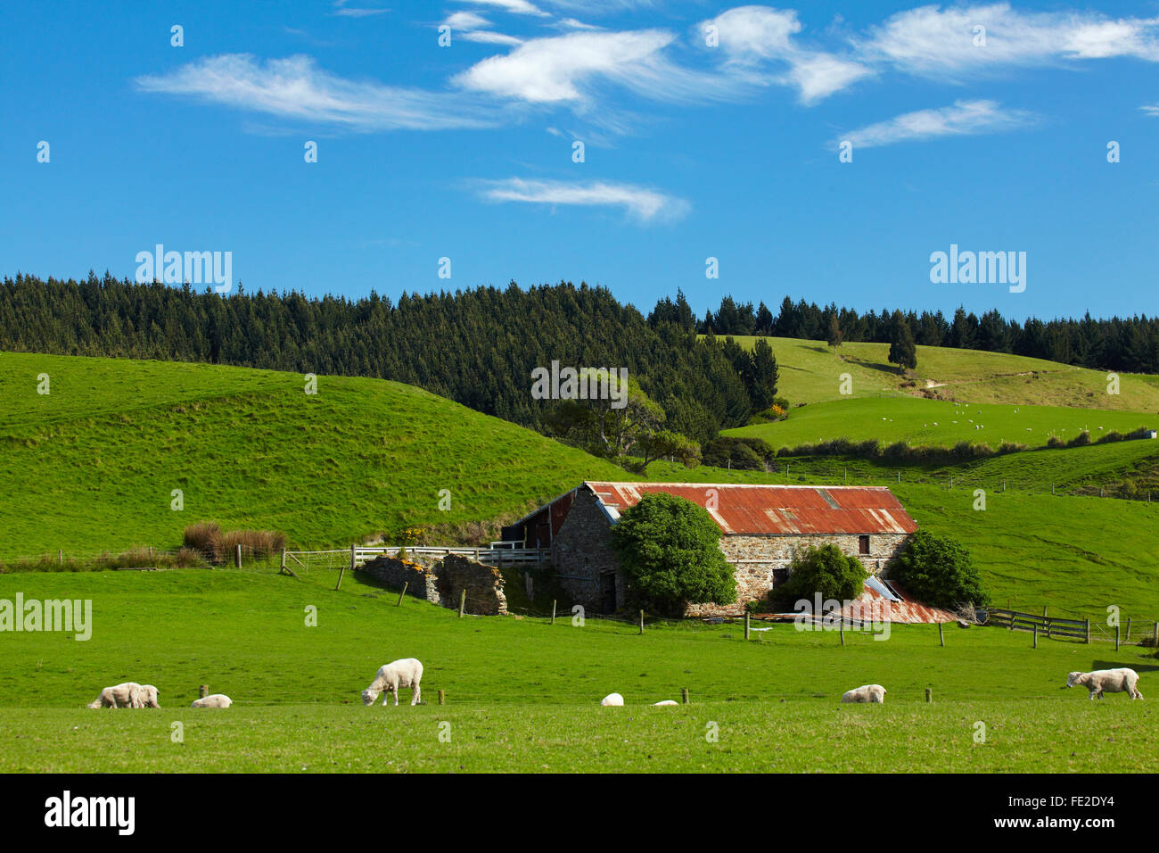 Old stone barn and farmland, near Taieri Mouth, Dunedin, Otago, South ...