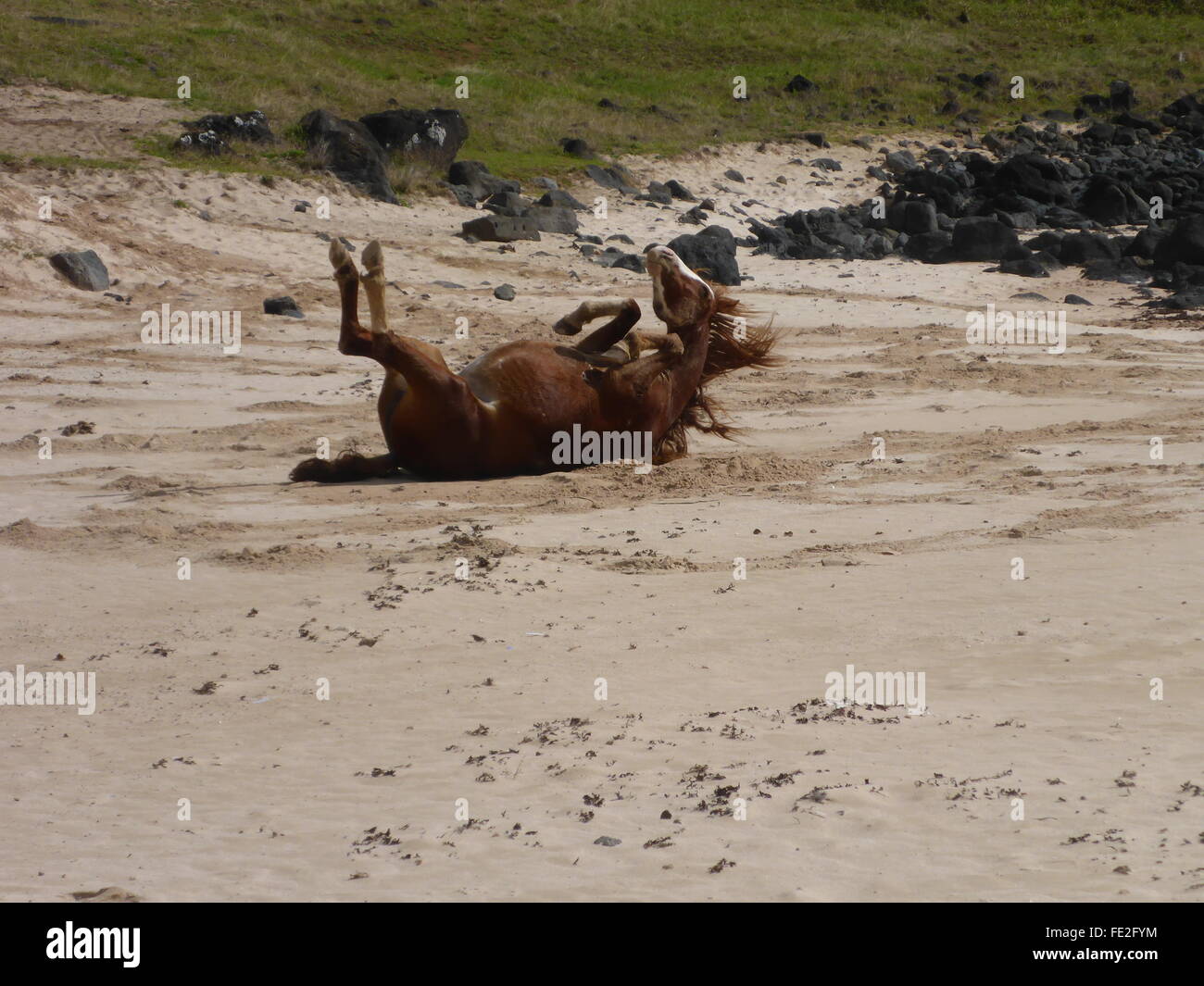 Full length back hi-res stock photography and images - Alamy