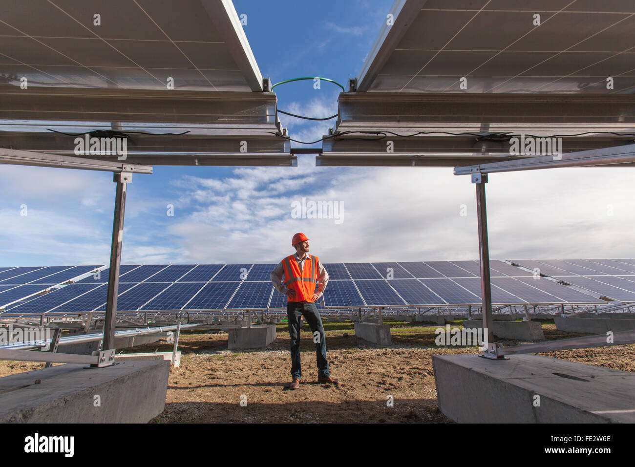 Power engineer standing in front of solar photovoltaic array Stock ...