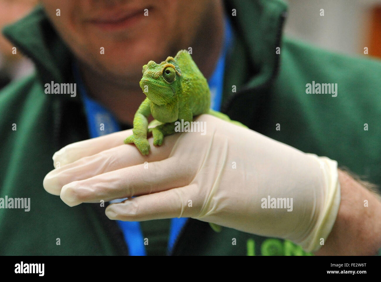 The annual animal stock take at London Zoo 2016. There are roughly 850 ...