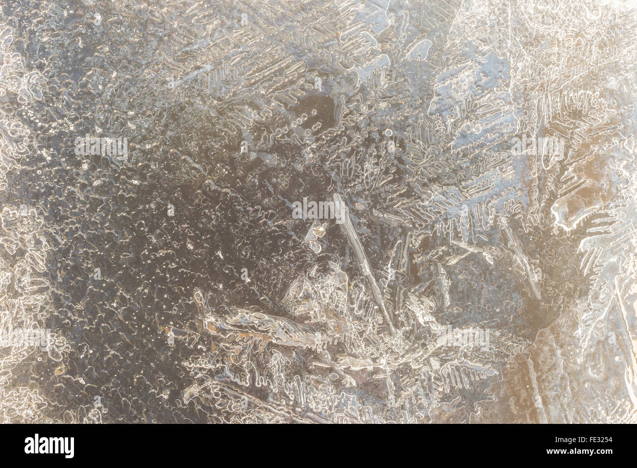Through a transparent and melting layer of golden ice Stock Photo - Alamy
