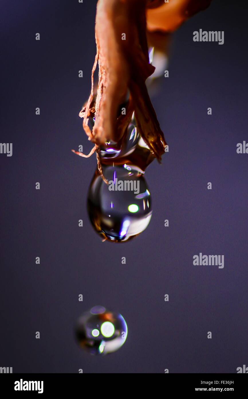 Dripping water droplet hi-res stock photography and images - Alamy
