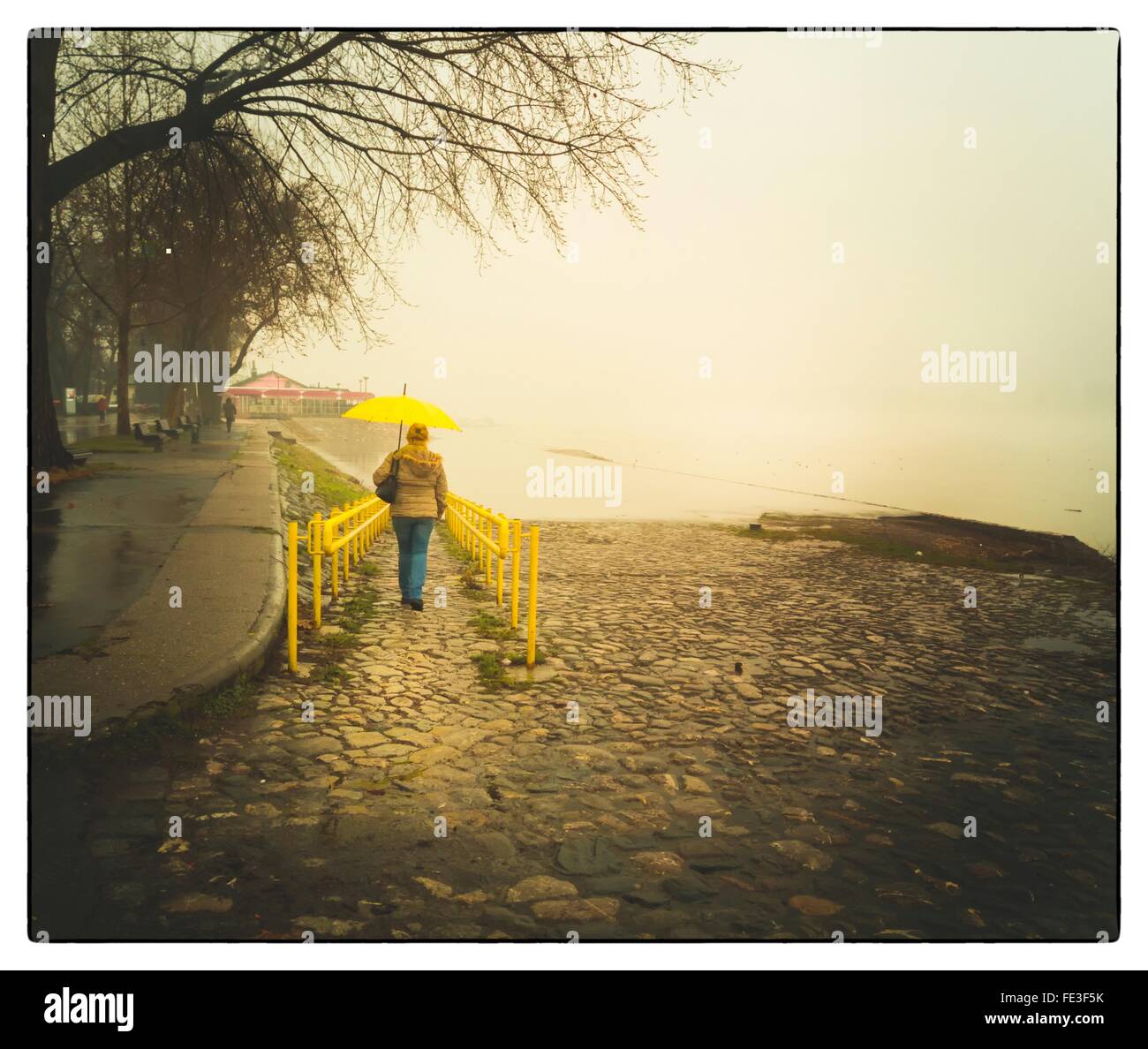 Walking umbrella hi-res stock photography and images - Alamy