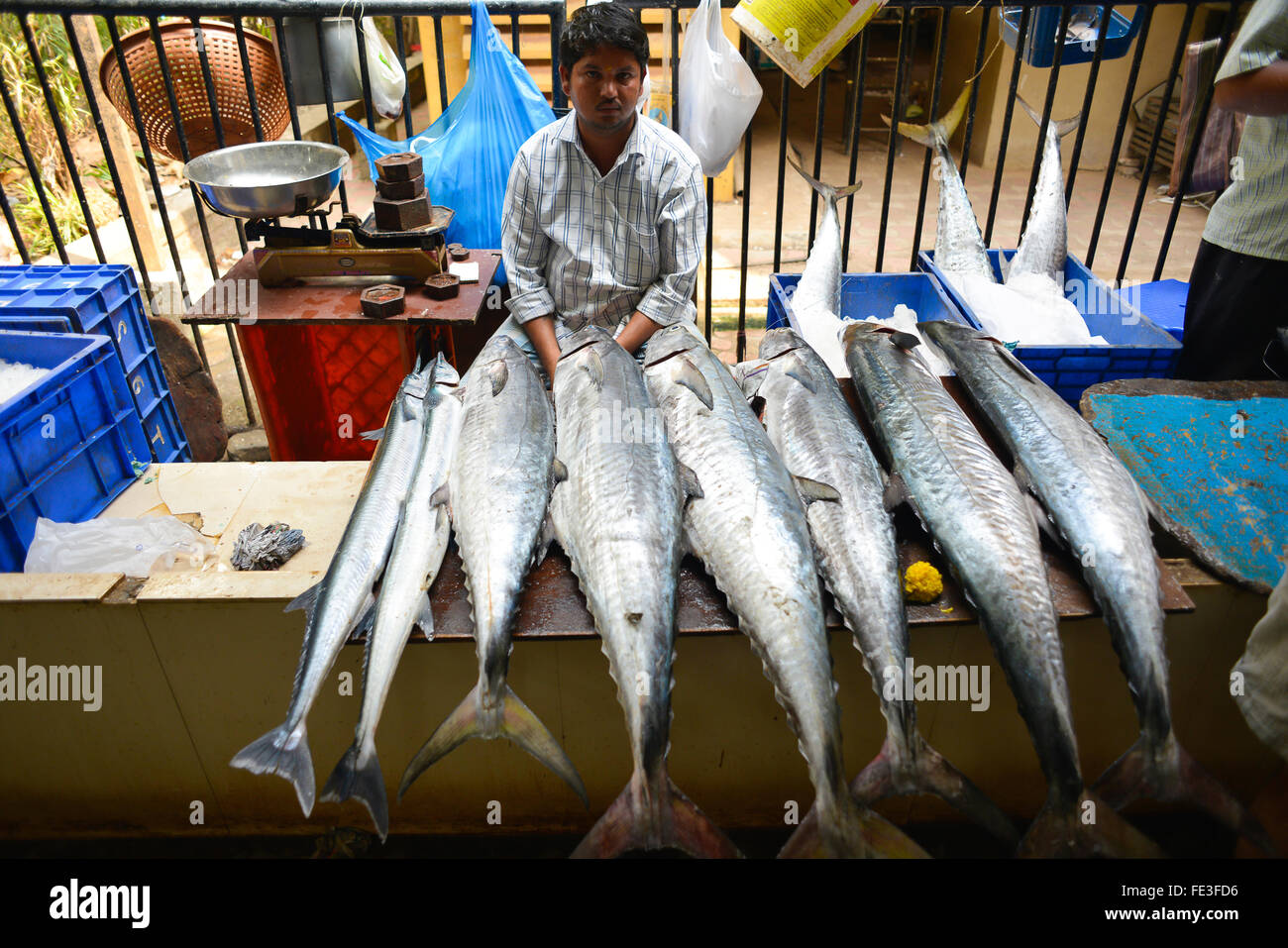India Goa Fish Market at Panaji Stock Photo - Alamy