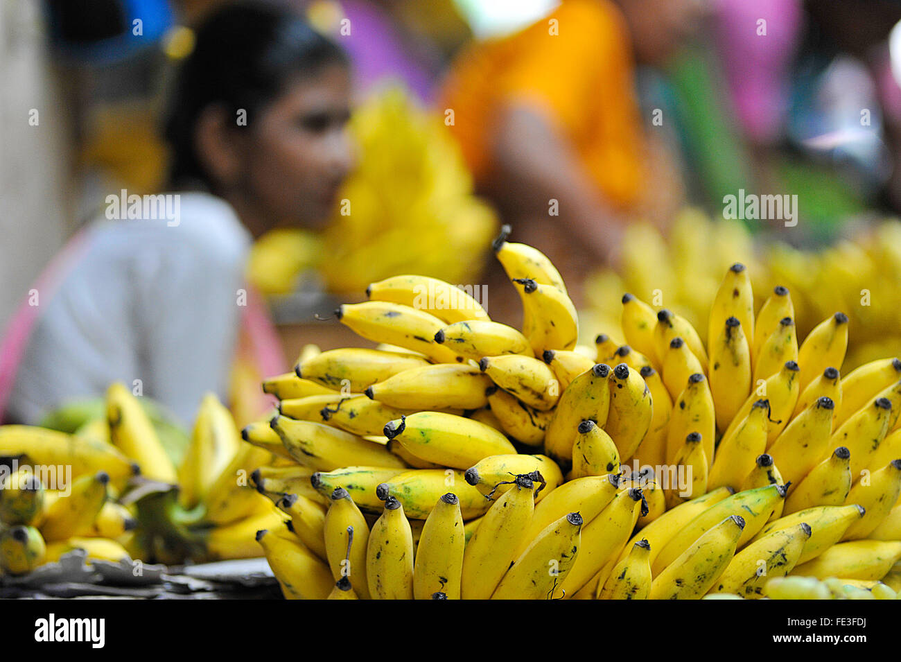 India Goa Fruit and vegetable market at Panaji Stock Photo - Alamy