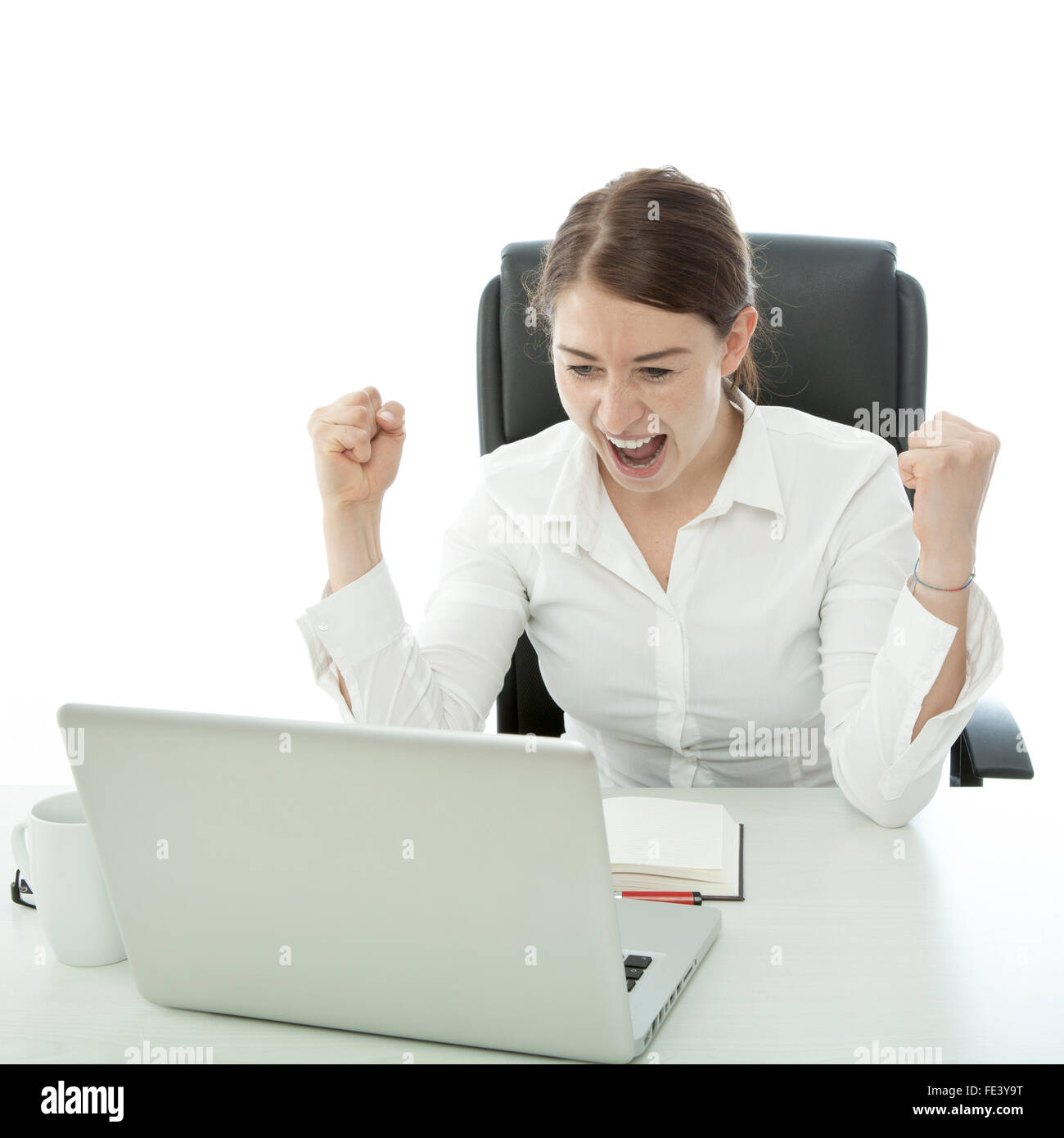 young brunette business woman is happy behind laptop Stock Photo - Alamy