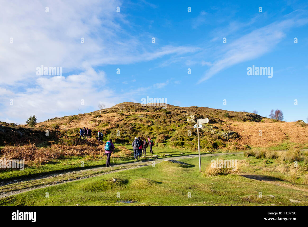 Walkers walking on North Wales Path with footpath signpost on Conwy ...