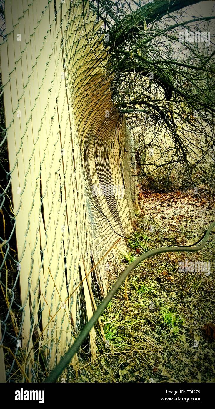 Overgrown fence hi-res stock photography and images - Alamy