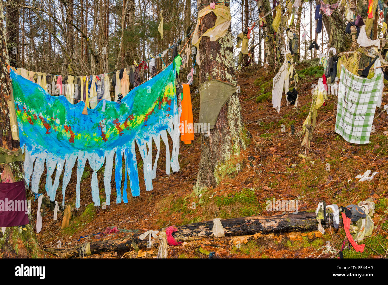 CLOOTIE WELL MUNLOCHY BLACK ISLE SCOTLAND COLOURFUL CLOTHES ON TREE ...