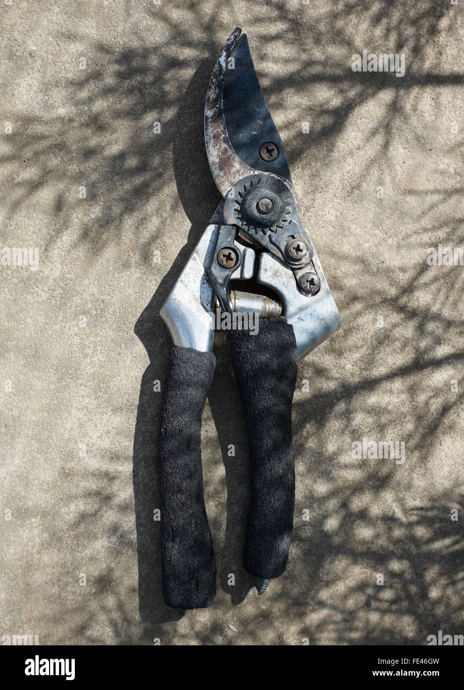 A pair of gardeners secateurs Stock Photo - Alamy