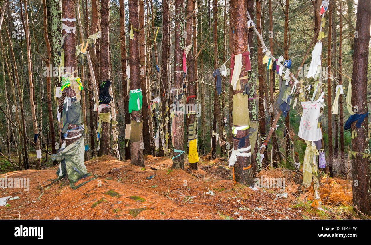 CLOOTIE WELL MUNLOCHY BLACK ISLE SCOTLAND GARMENTS AND CLOTHES ON PINE ...