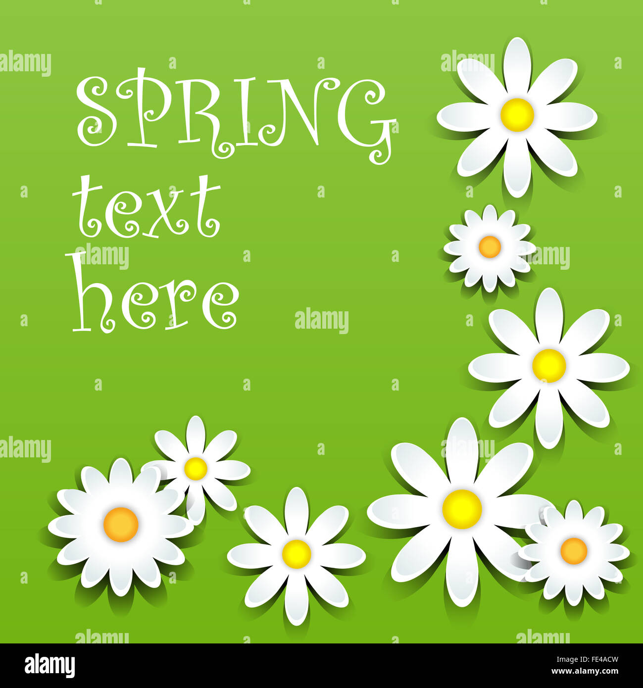 Fun white daisies with shadows over green, spring theme Stock Photo - Alamy