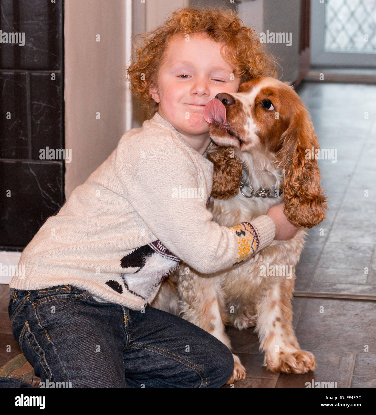 Boy and a spaniel dog hi-res stock photography and images - Alamy