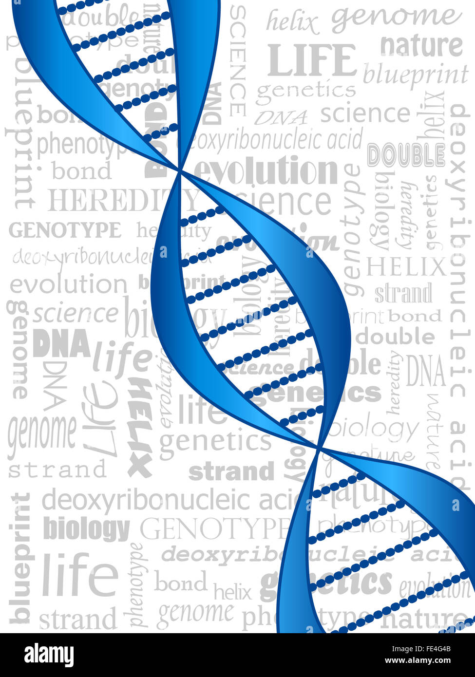DNA double helix over related word background Stock Photo - Alamy
