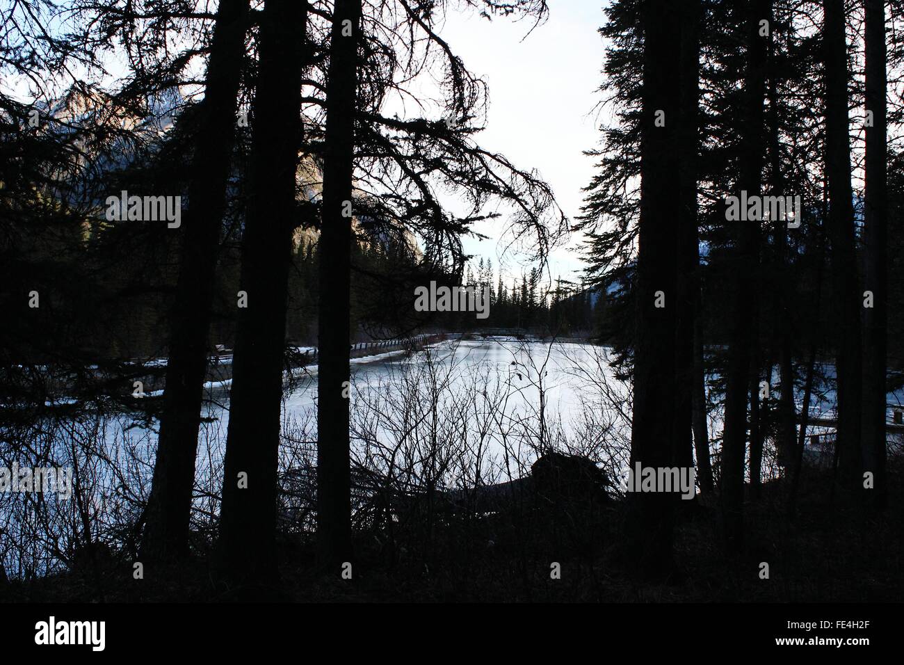 Lake through the trees hi-res stock photography and images - Alamy