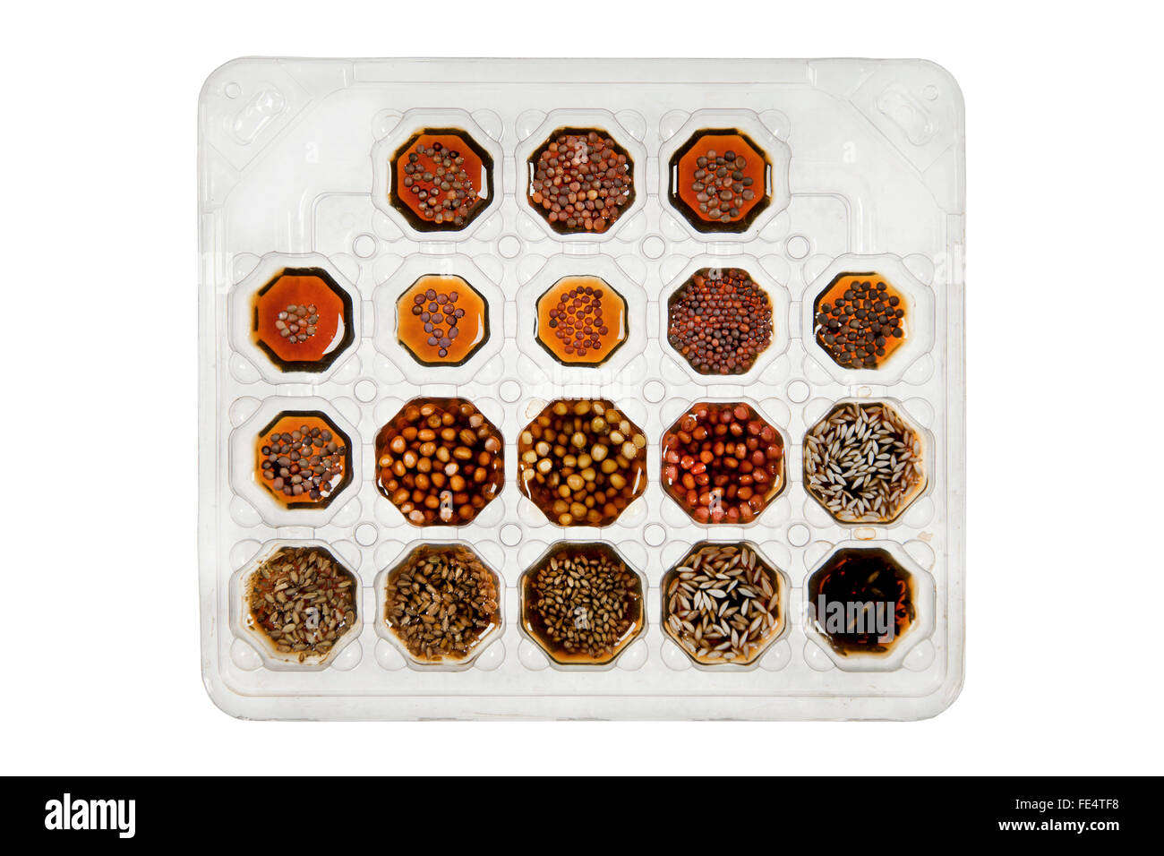 Container seed transparent Stock Photo - Alamy