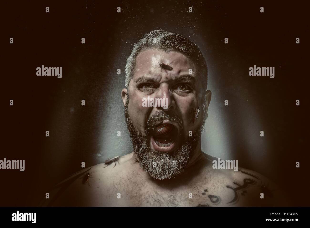 Screaming Insect High Resolution Stock Photography and Images - Alamy