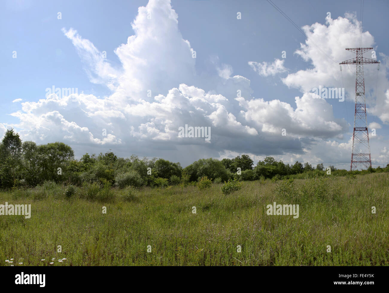 Field of green grass perfect sky and trees Stock Photo - Alamy