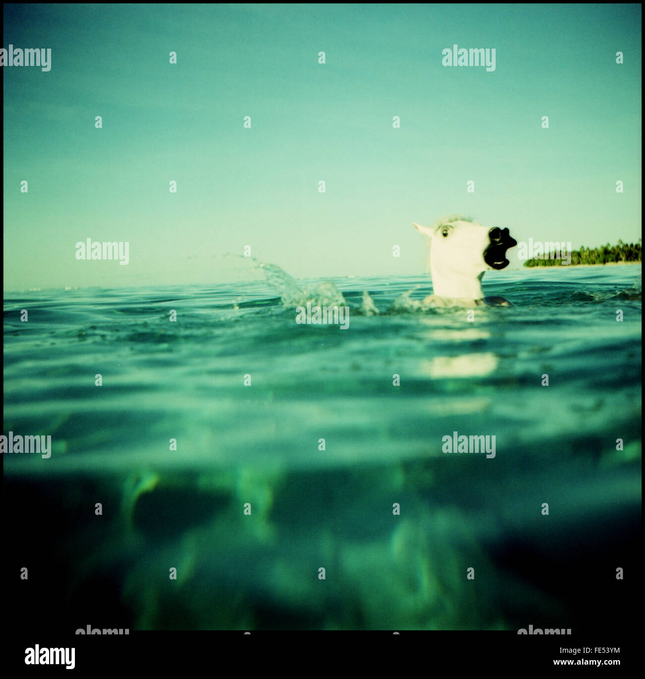 Man With Animal Head In Blue Sea Stock Photo - Alamy