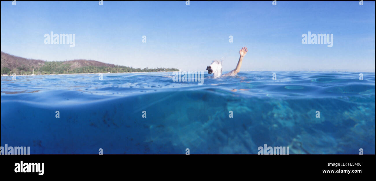 Man With Animal Head In Blue Sea Stock Photo - Alamy