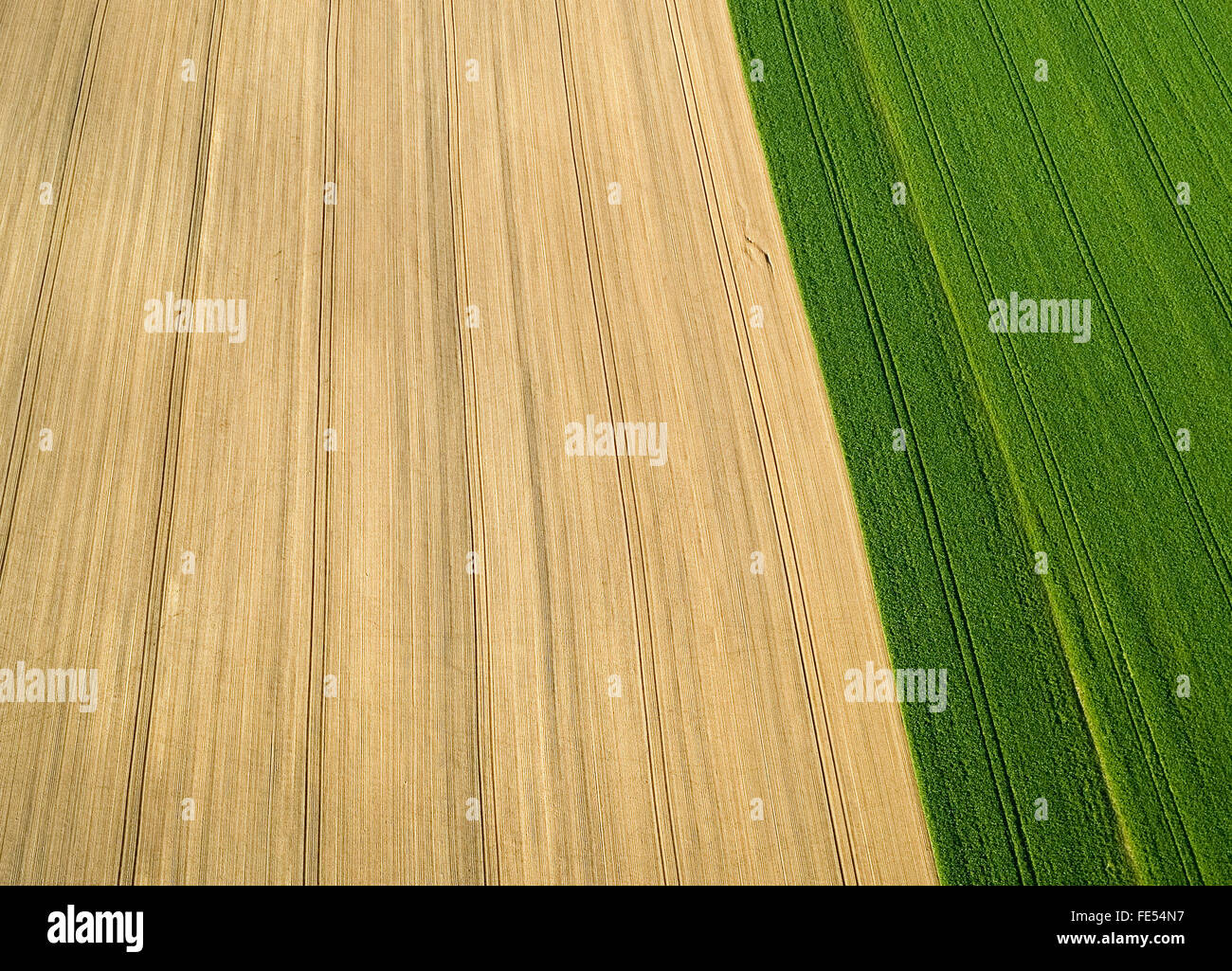 field, acre, land, green, brown, dry, fertile, graphic, grafically ...