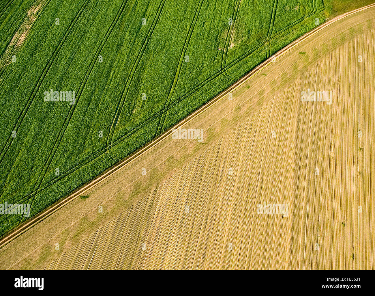 field, acre, land, green, brown, dry, fertile, graphic, grafically ...