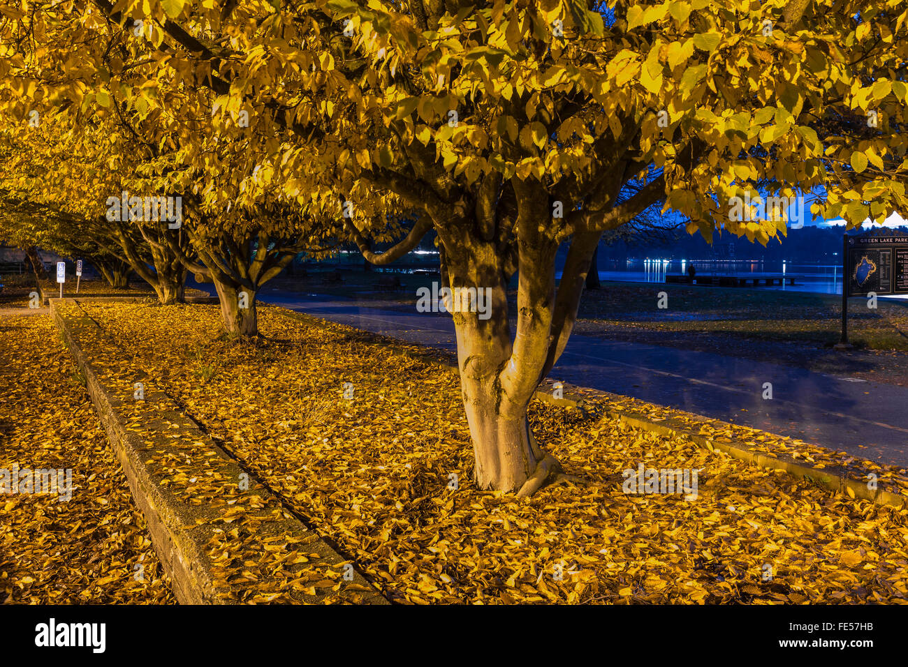 Late autumn landscape lit by street lights with the light of a twilight ...