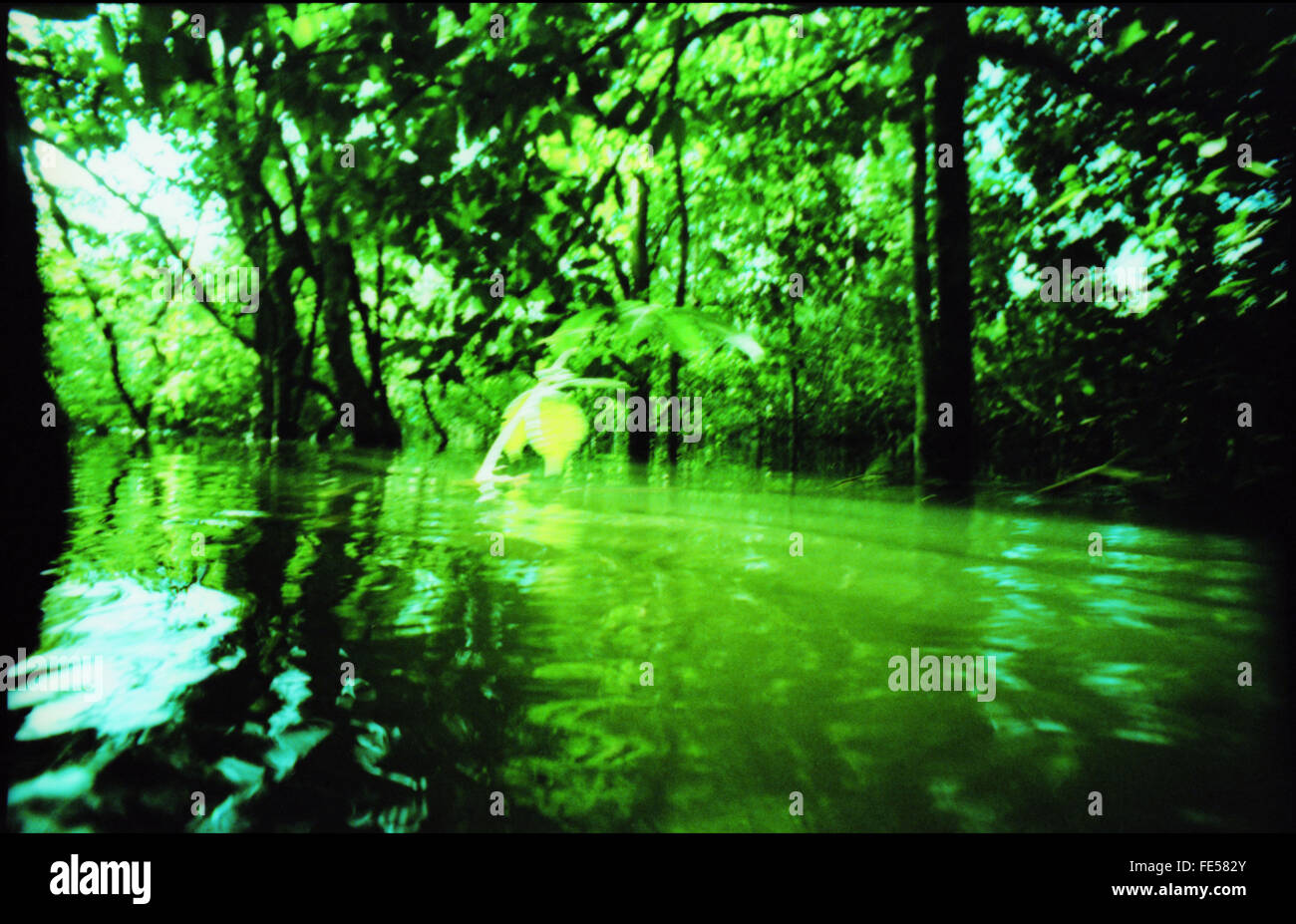 Tefe brazil hi-res stock photography and images - Alamy