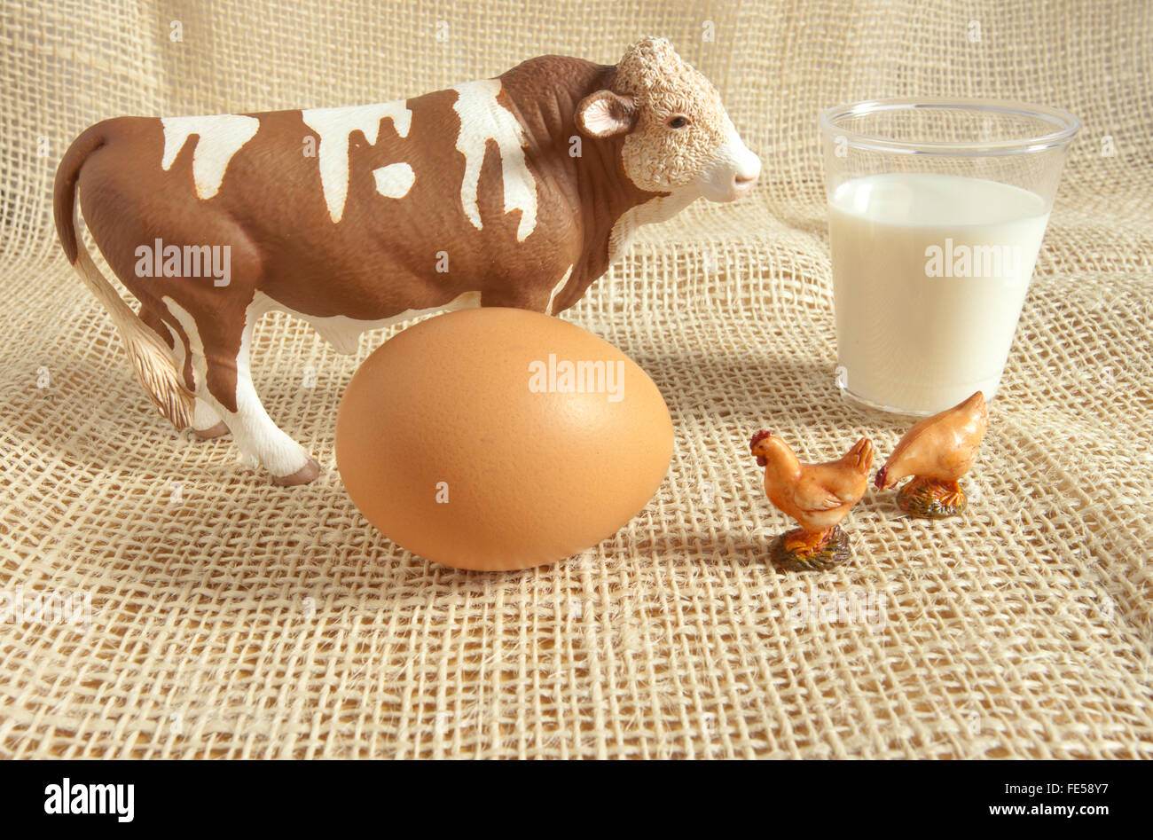 Natural food in the farm Stock Photo - Alamy