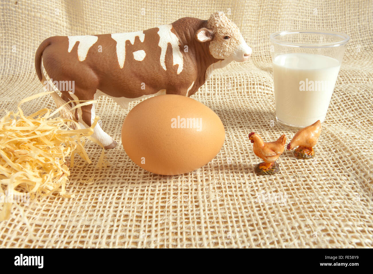 Natural food in the farm Stock Photo - Alamy