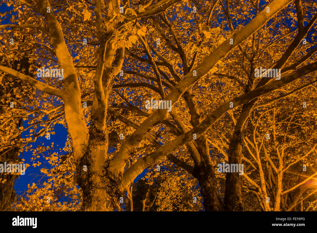 Sodium vapor street light hi-res stock photography and images - Alamy