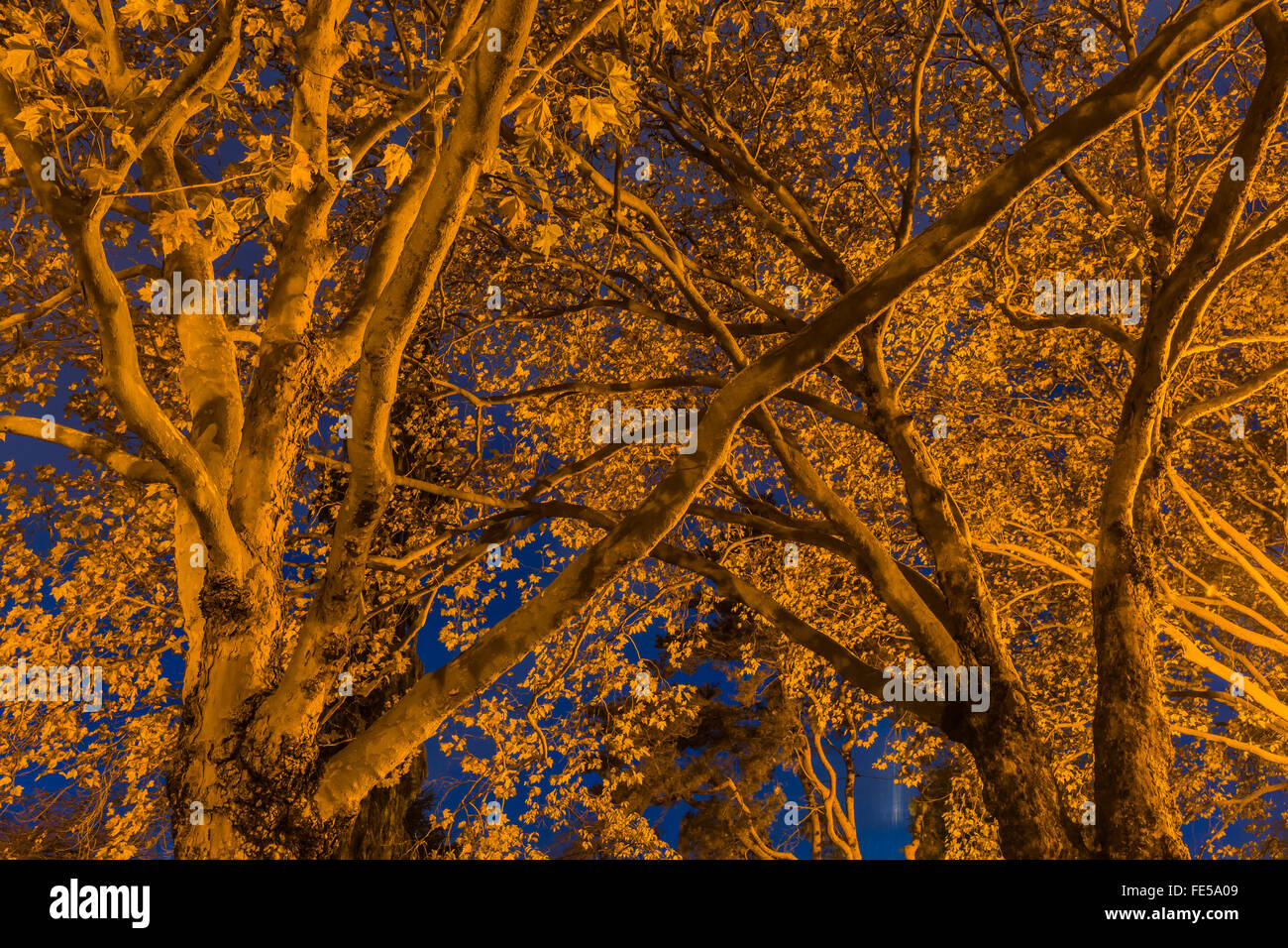 Sodium vapor street light hi-res stock photography and images - Alamy