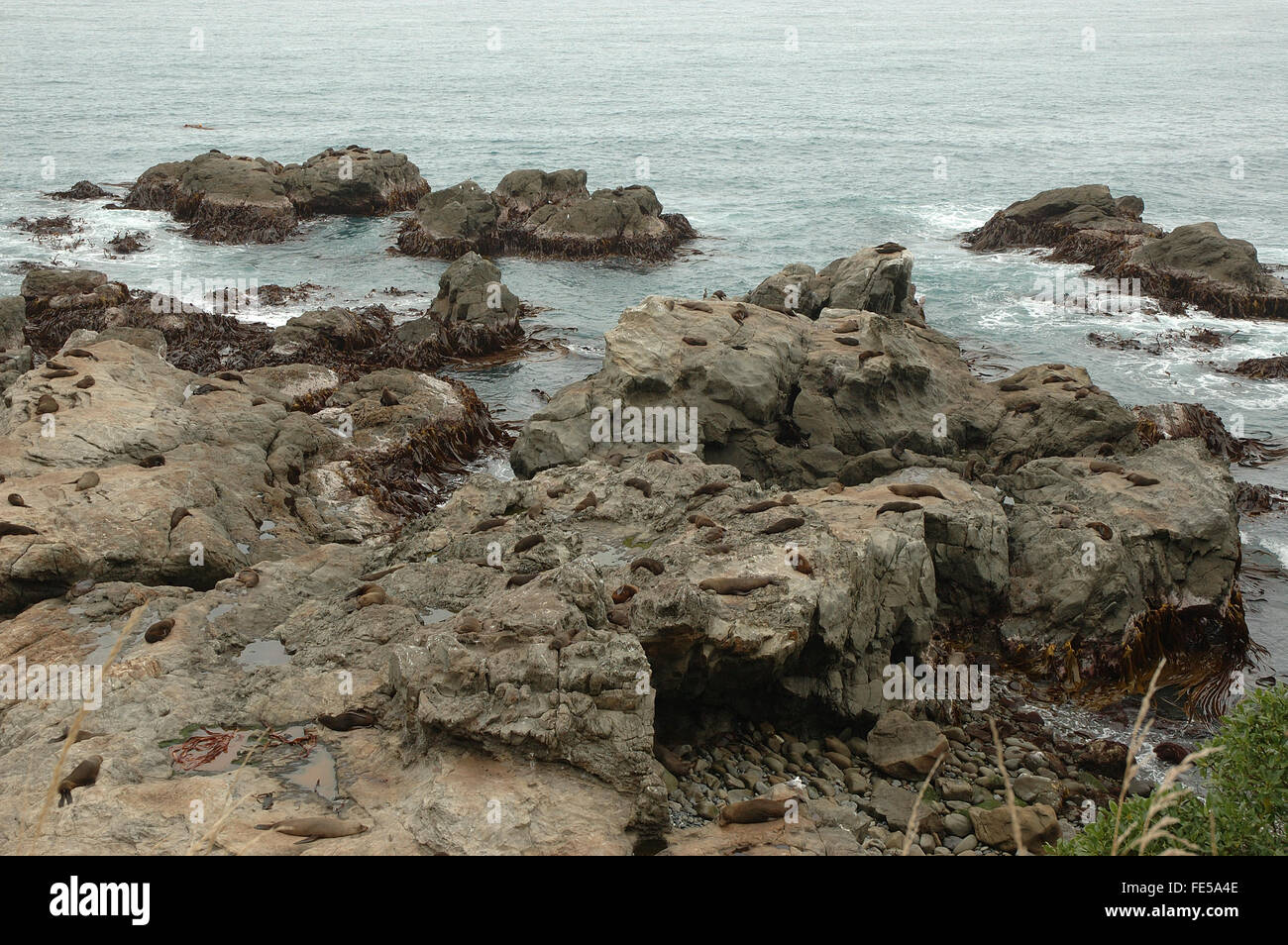 Maori new zealand south island hi-res stock photography and images - Alamy