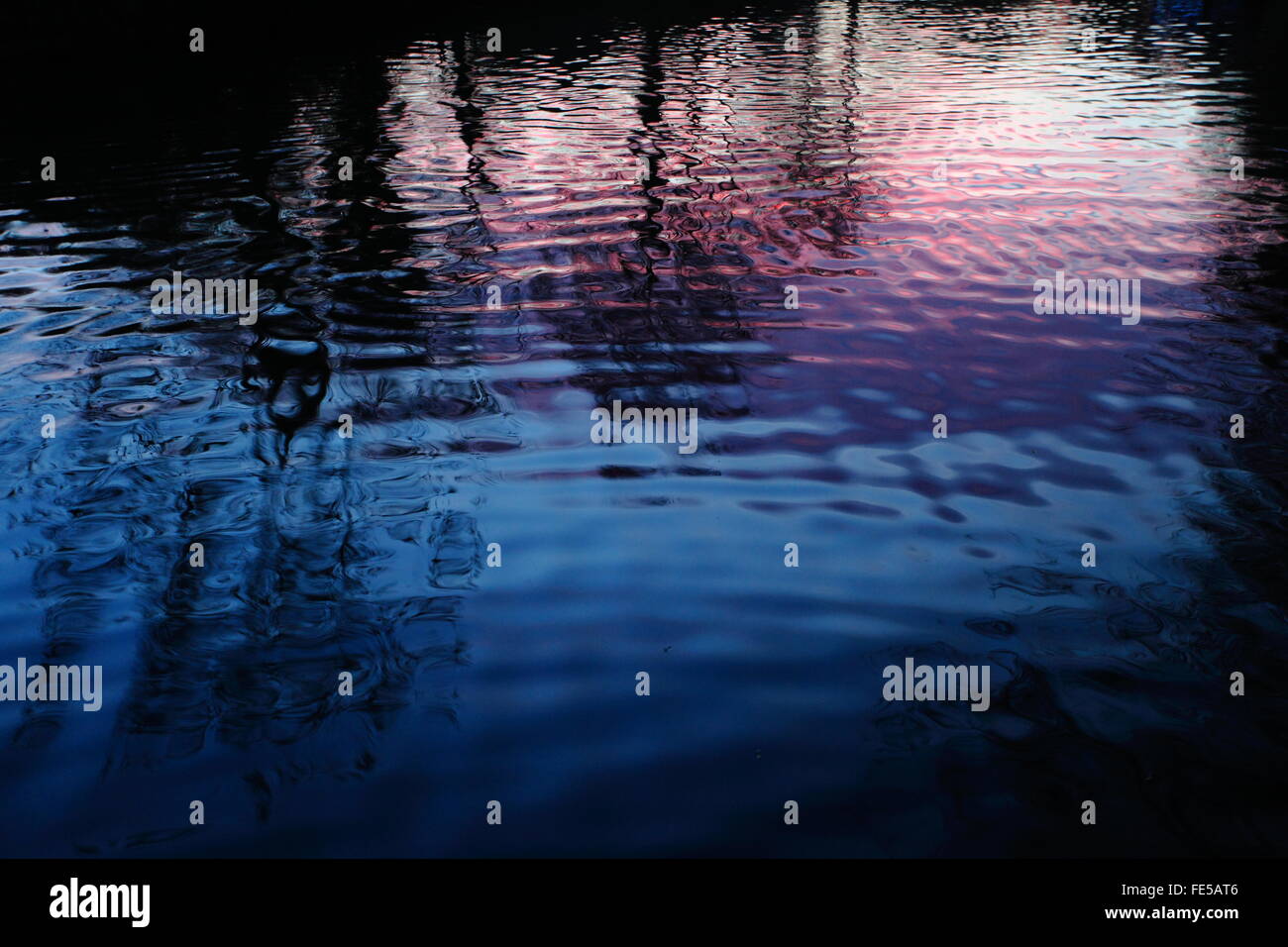 Tree reflection water hi-res stock photography and images - Alamy