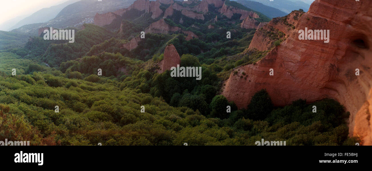 Vegetation mountain hi-res stock photography and images - Alamy