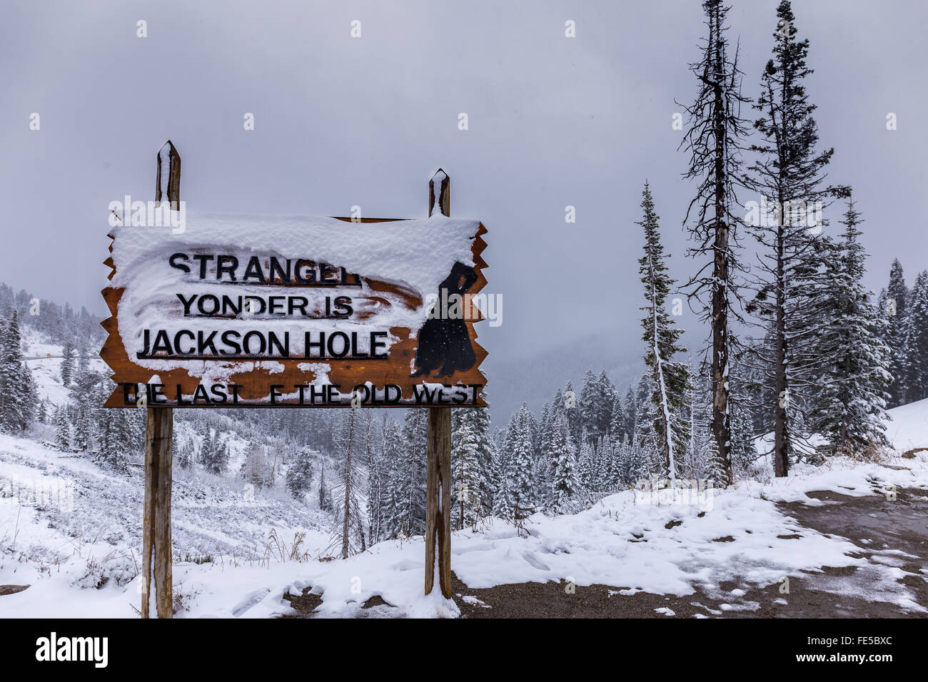 Jackson hole hi-res stock photography and images - Alamy