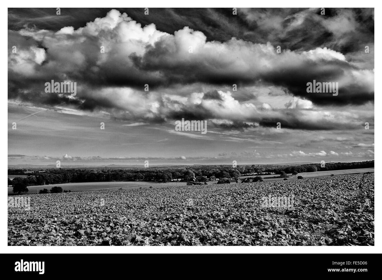 Field sky barren landscape Black and White Stock Photos & Images - Alamy