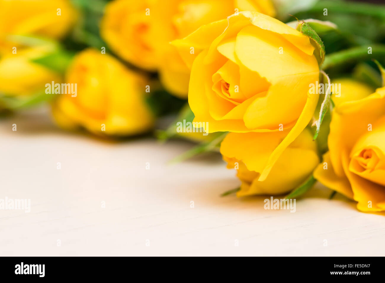 Women day flower hi-res stock photography and images - Alamy