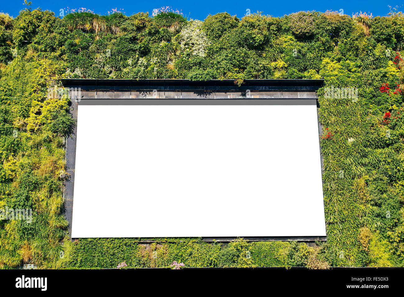 Blank green wall hi-res stock photography and images - Alamy