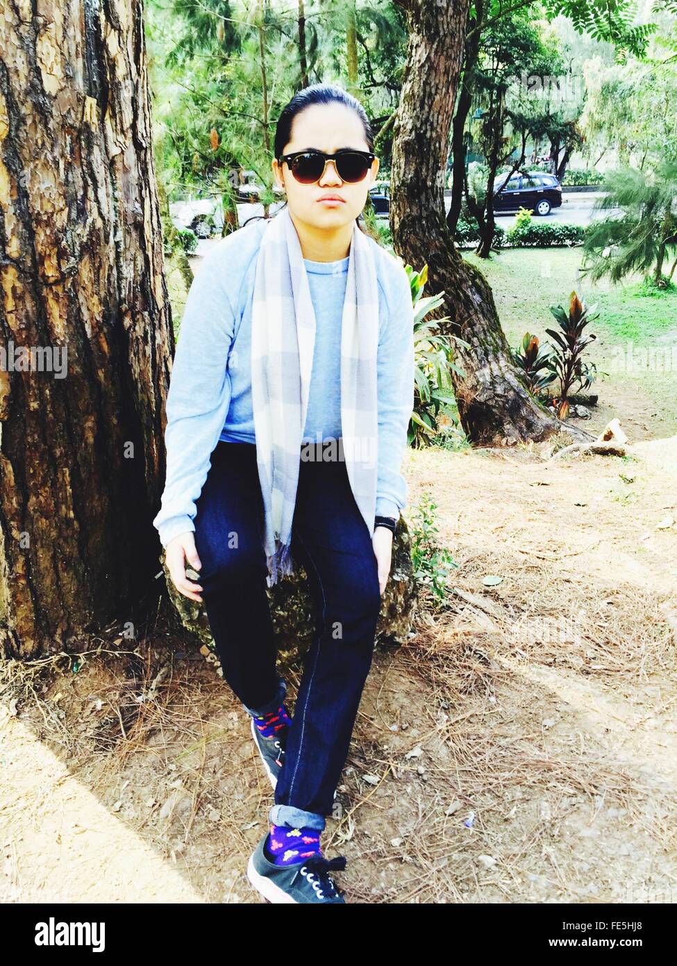 Sitting beside a tree hi-res stock photography and images - Alamy