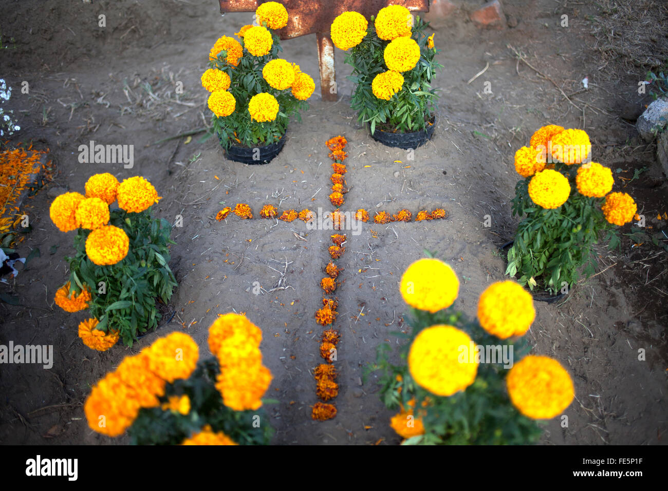 A cross made with yellow marigold flowers, known as cempasuchil ...
