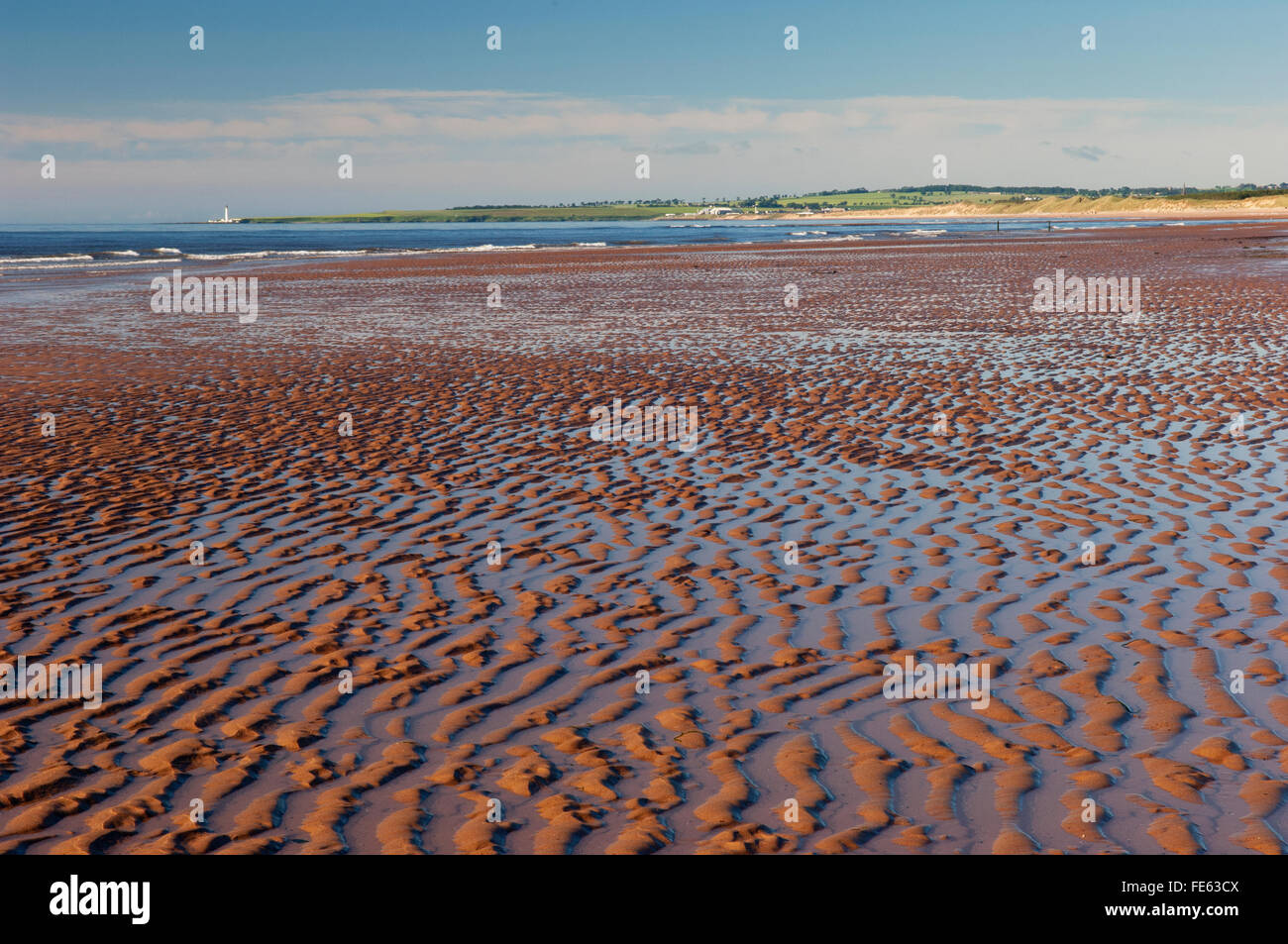 The beach at St Cyrus National Nature Reserve - Aberdeenshire, Scotland ...